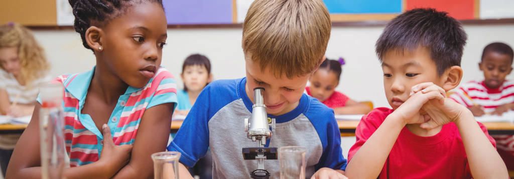 Our Program | Precision Learning Group